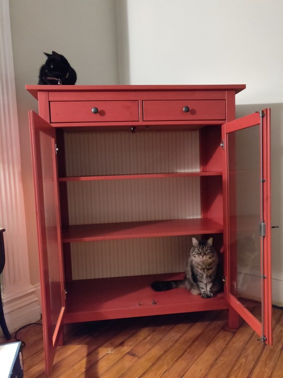 Kitty Hosts! | James Matthews House